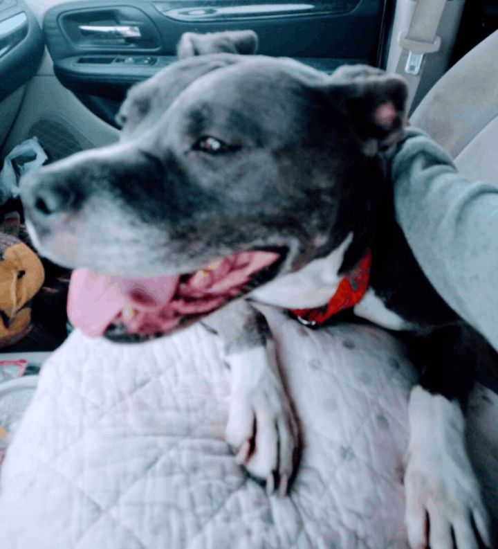 download-3 – rppuertorico