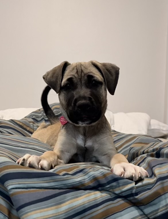 IMG_3140 - rppuertorico